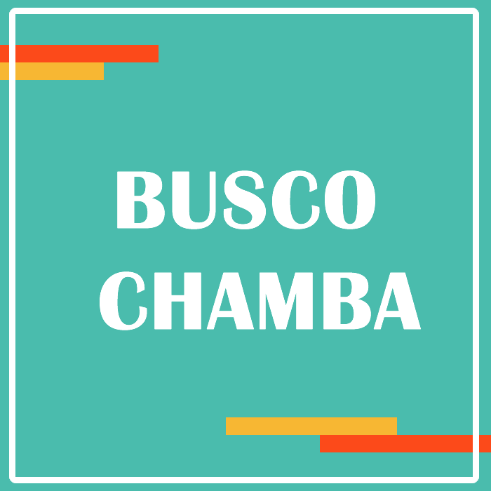 Busco Chamba HN - Terrateimpulsa