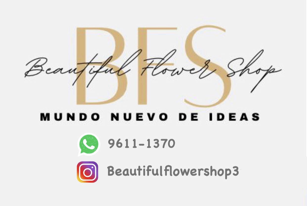Beautiful Flower Shop - Terrateimpulsa