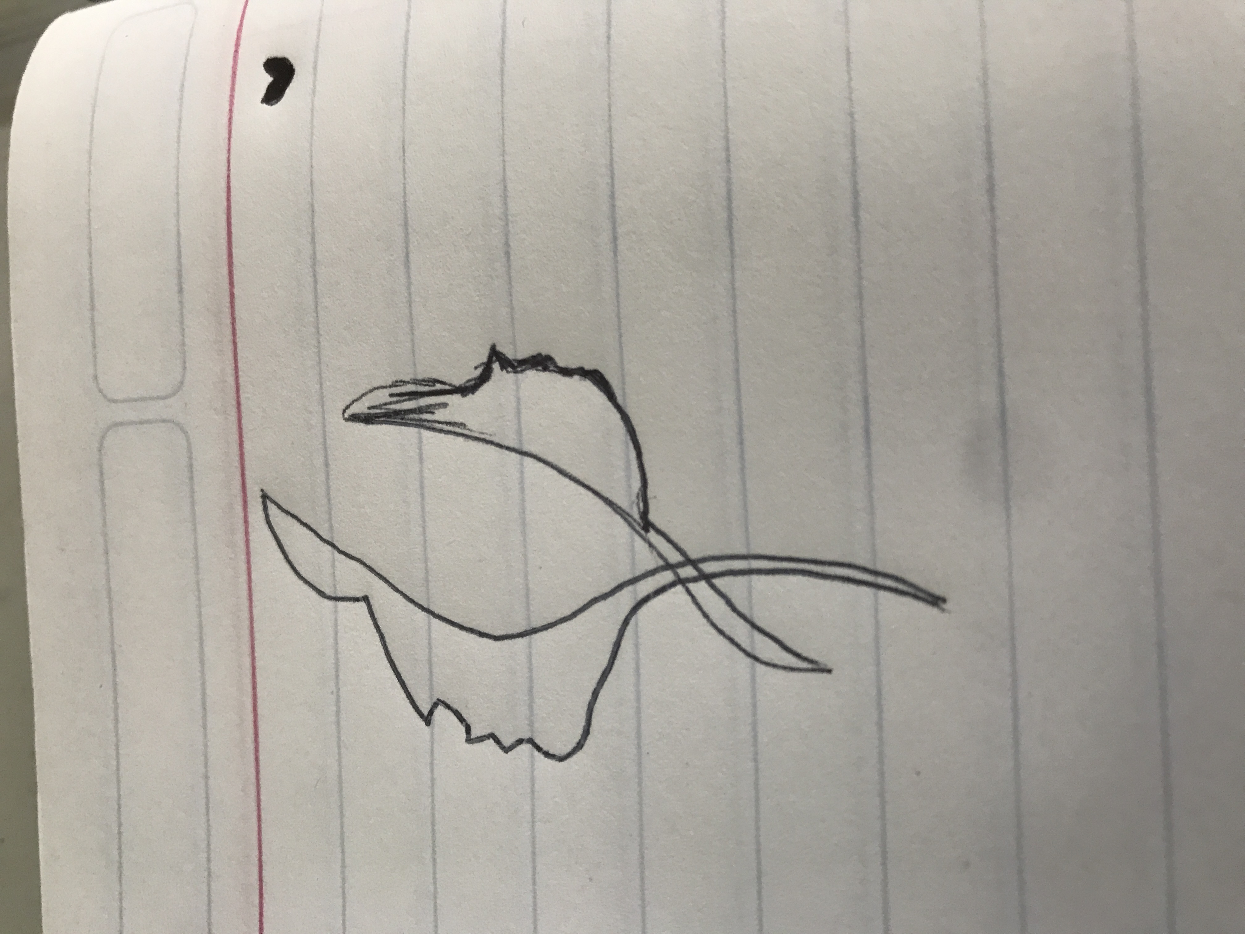 Salón de belleza Bivi - Terrateimpulsa