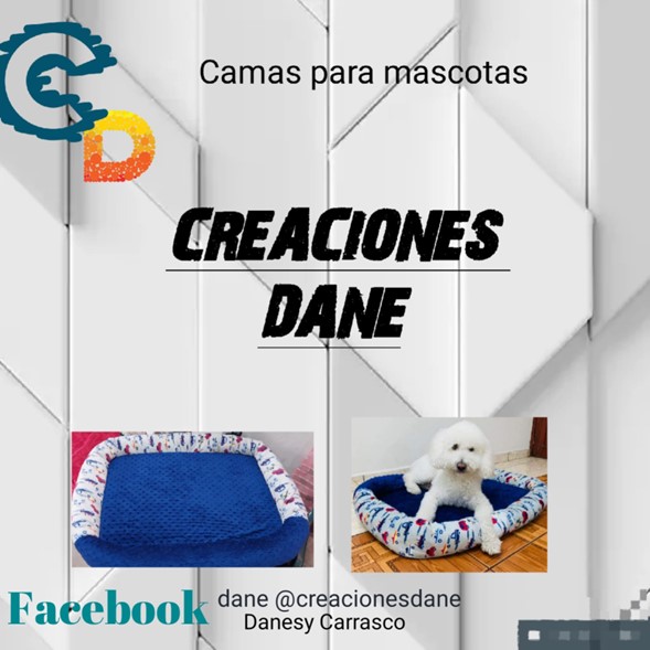 Creaciones DANE - Terrateimpulsa