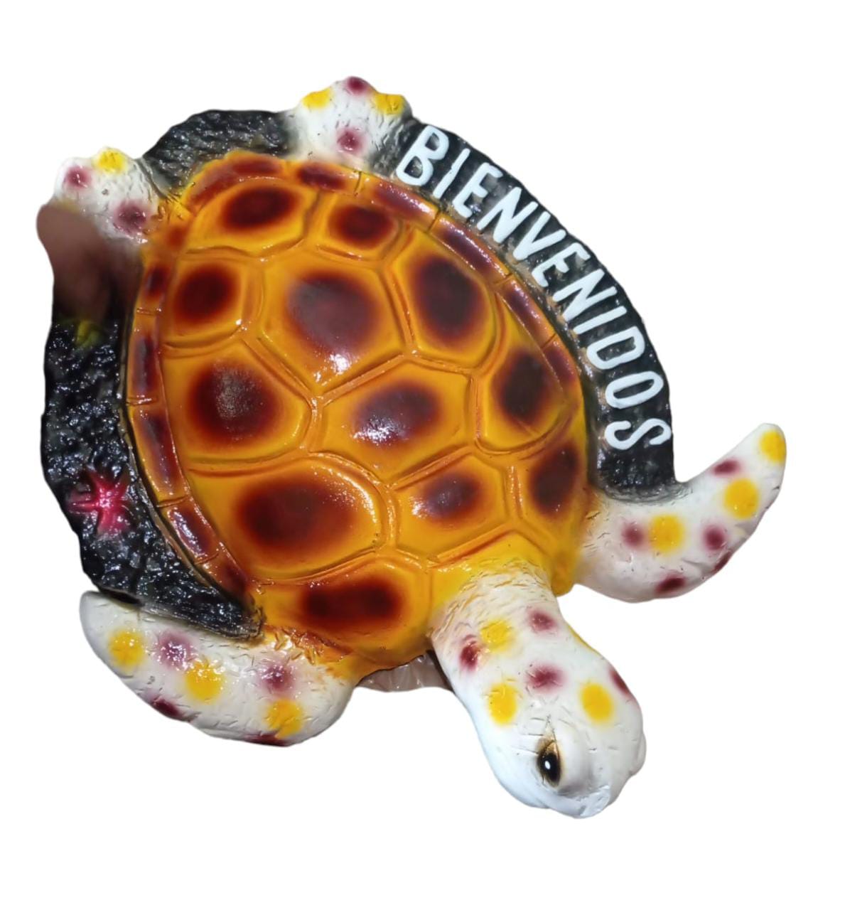 Souvenir Genesis - Terrateimpulsa