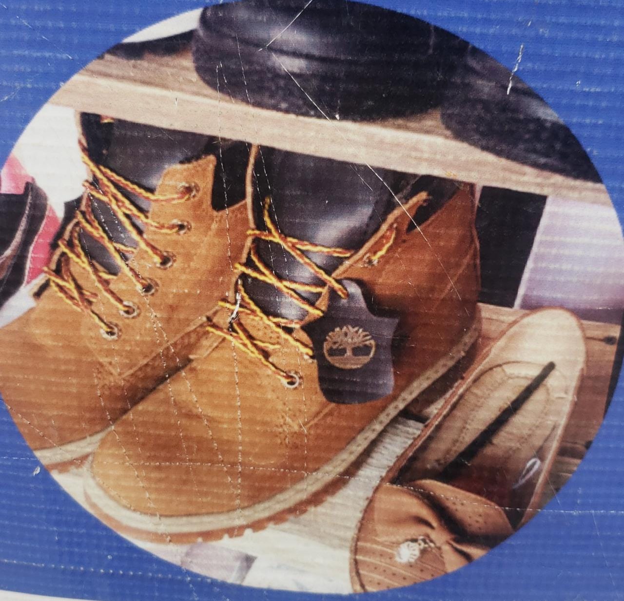 variedades salome - Terrateimpulsa