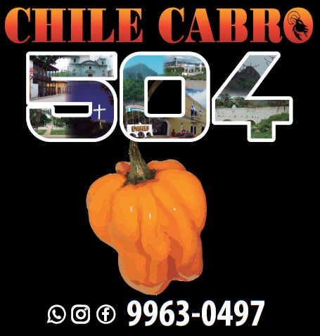 CHILE CABRO 504 - Terrateimpulsa
