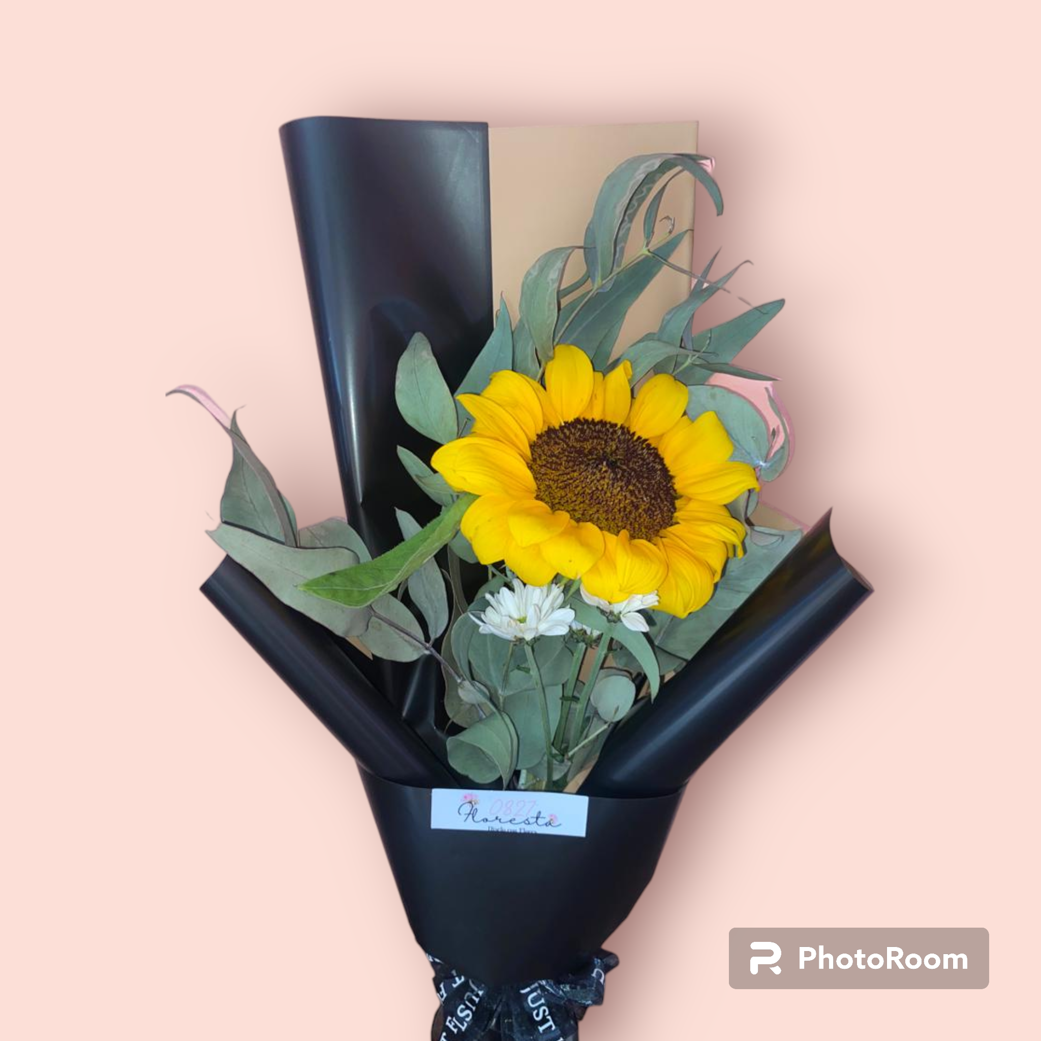 Floresta - Terrateimpulsa