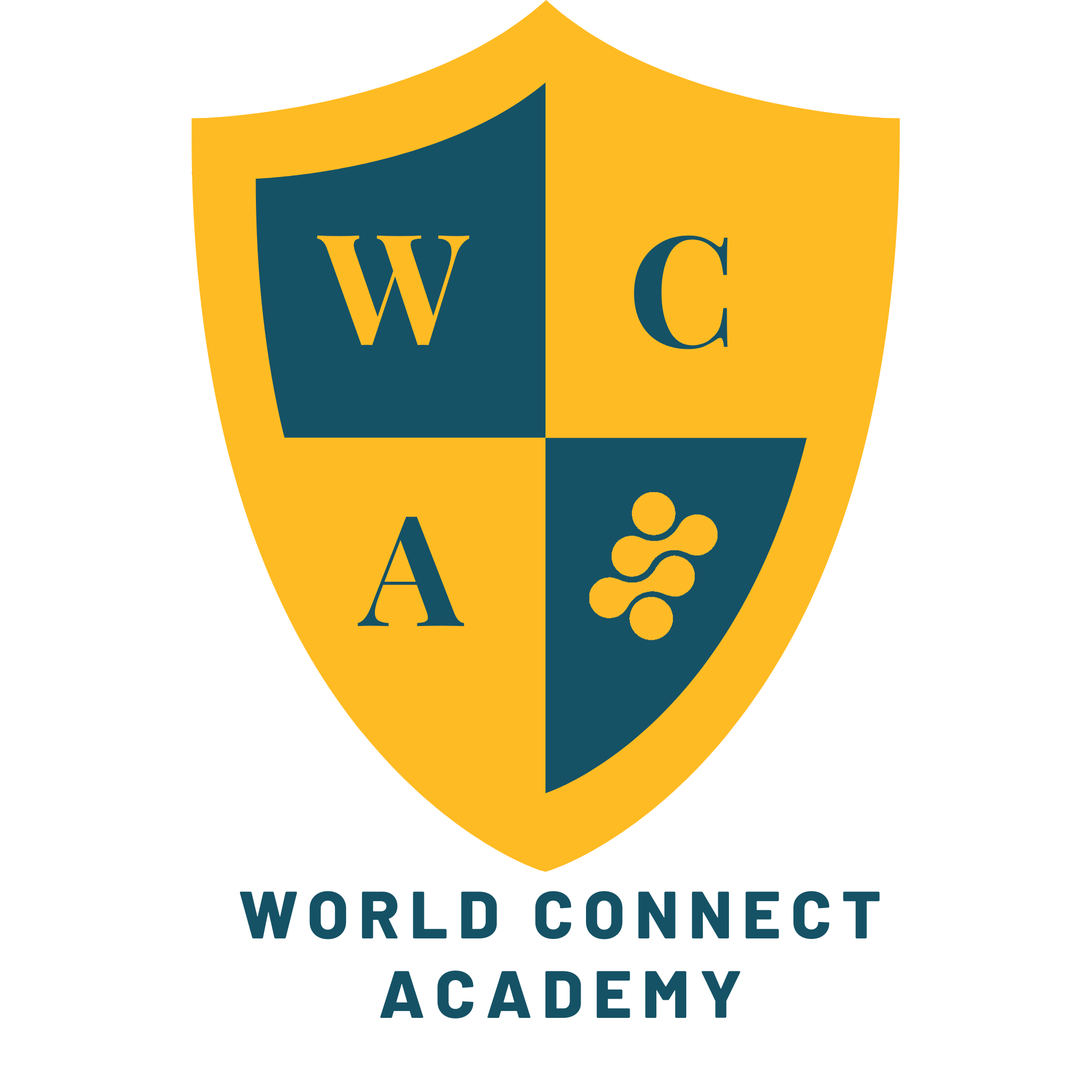World Connect Academy - Terrateimpulsa