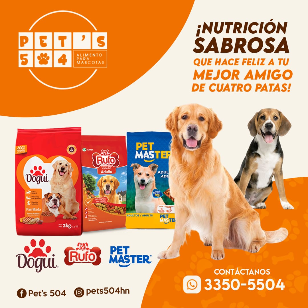 PET's 50 - Terrateimpulsa