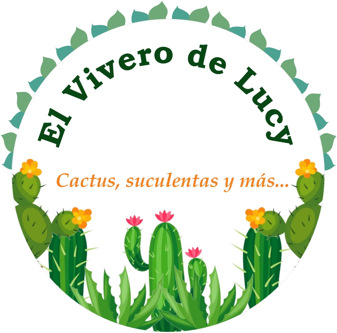 El Vivero de Lucy - Terrateimpulsa