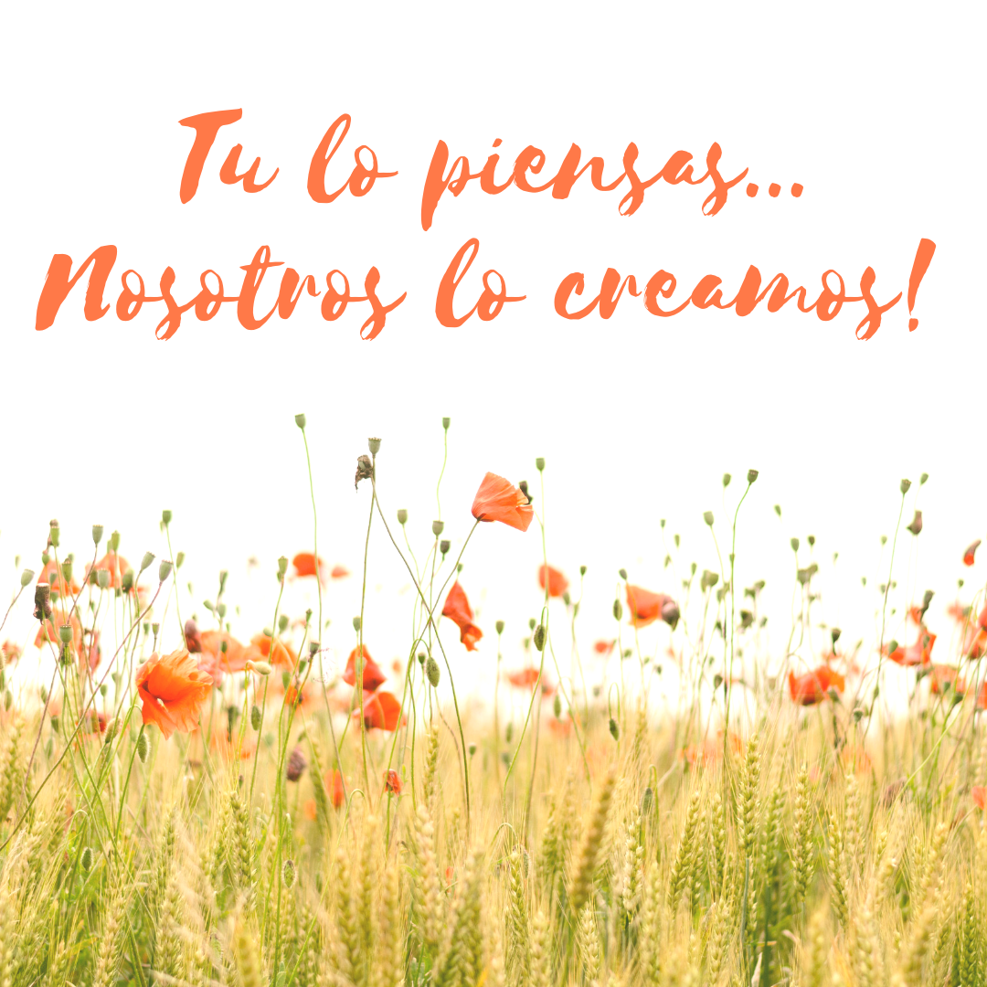 Diseño Personalizado - Terrateimpulsa